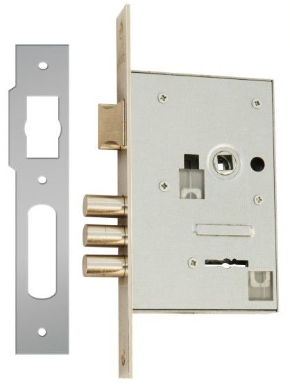 Mortise Key Lock Deadlatch Key Control the Key to Your Property's ...